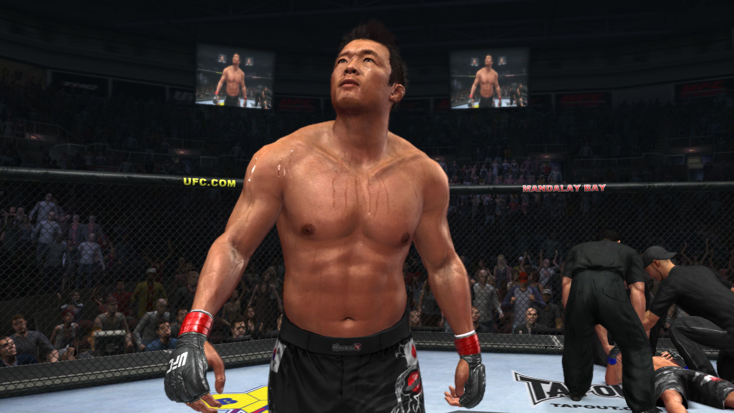 New UFC 2010: Undisputed Screens Revealed