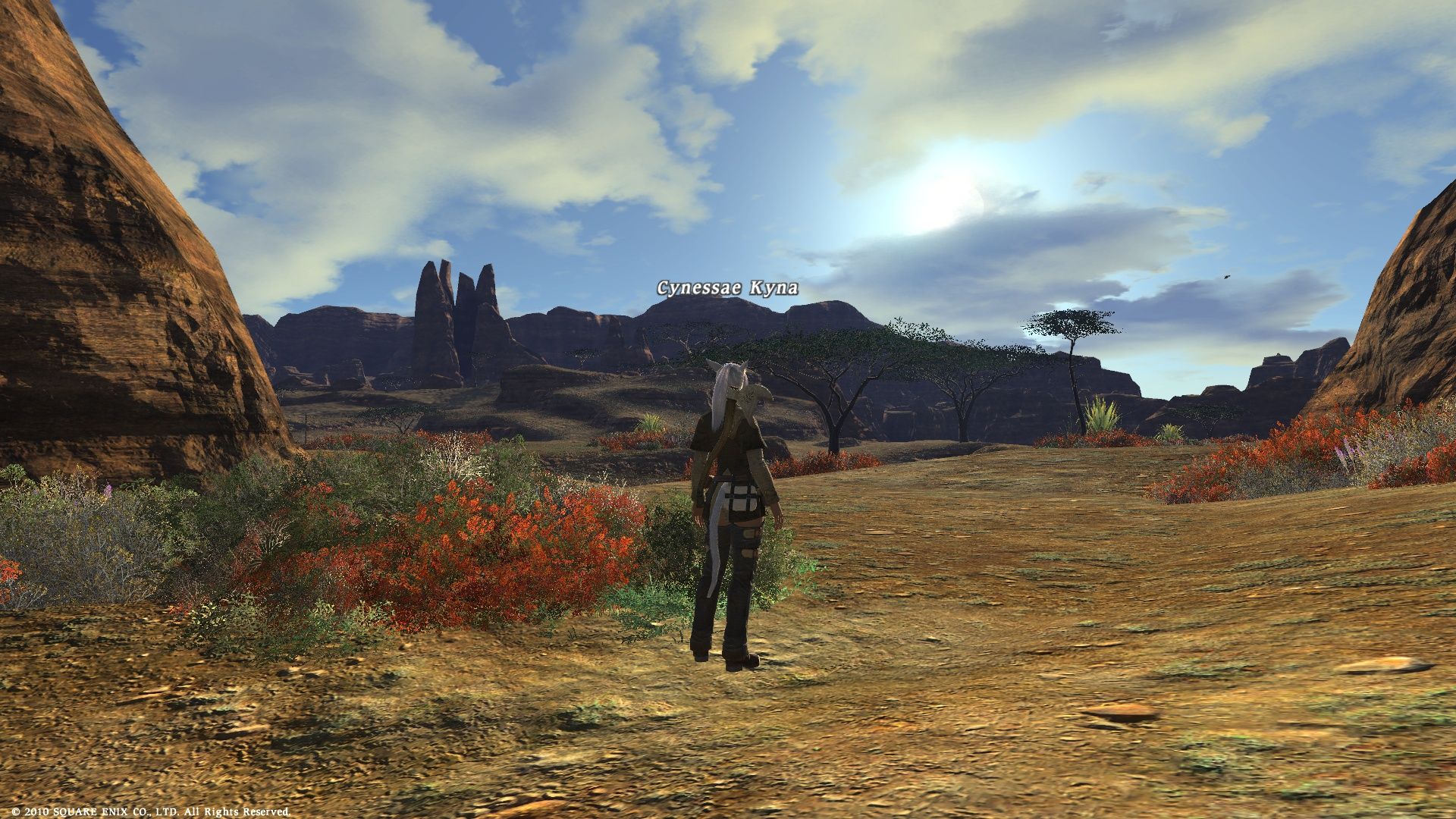 Life in Final Fantasy XIV: Part 1 - In the Beginning...