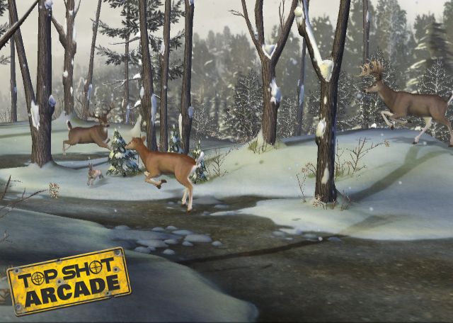 Top Shot Arcade Now Available in Stores