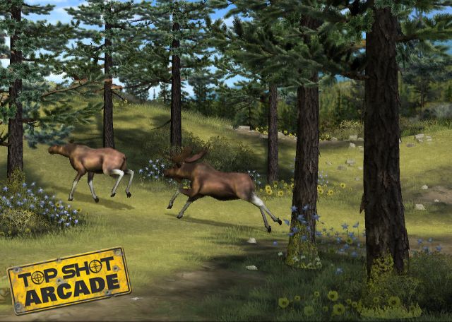 Top Shot Arcade Now Available in Stores