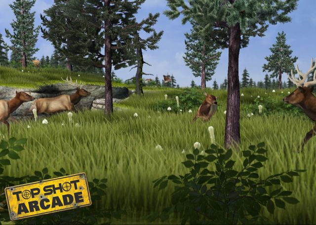 Top Shot Arcade Now Available in Stores