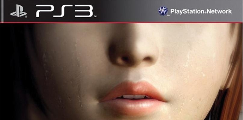 Is This Dead or Alive 5's Official Box Art?