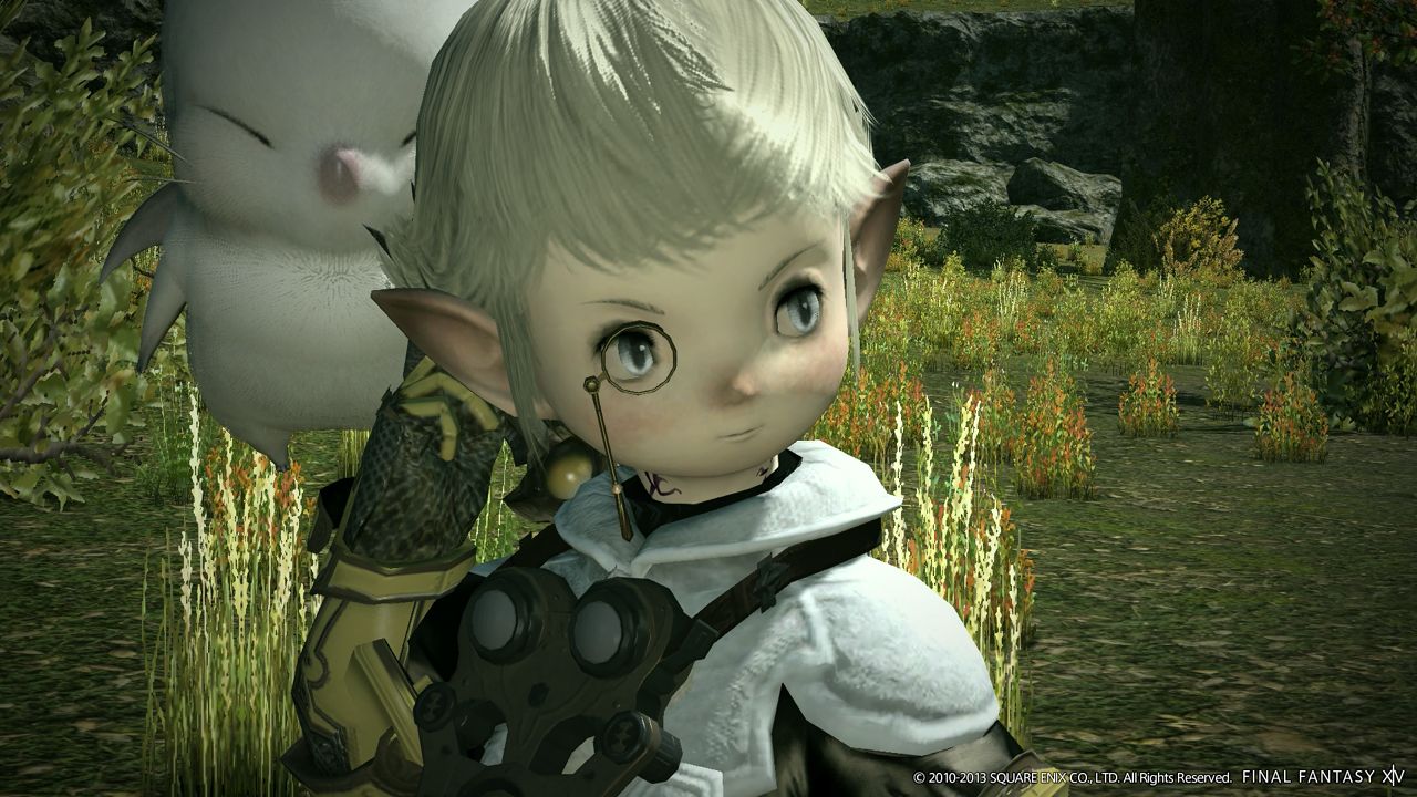 Final Fantasy XIV: A Realm Reborn's Good Guys Get Even More Screenshots ...