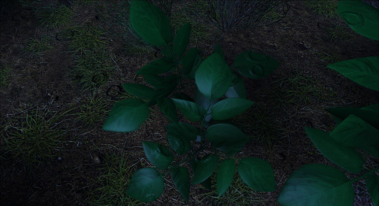 PS4 Exclusive Without Memory's New Screenshots Show Massively Improved ...