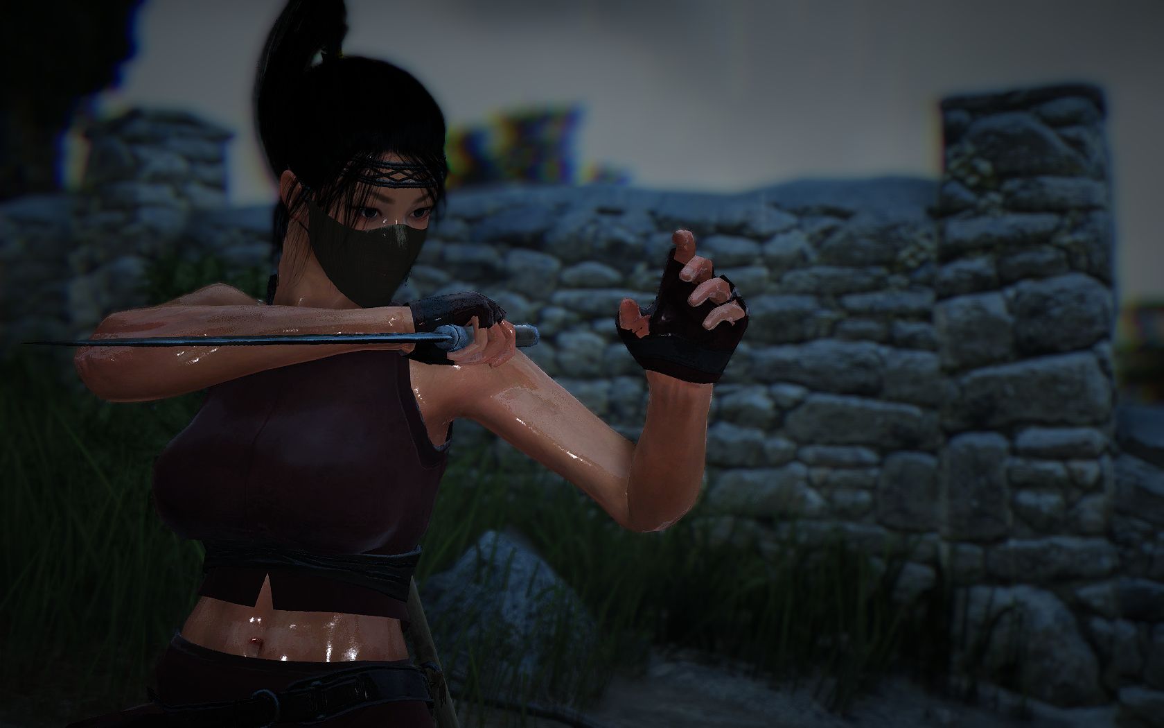 Black Desert Online Gets Two New Classes Next Week: Ninja and Kunoichi