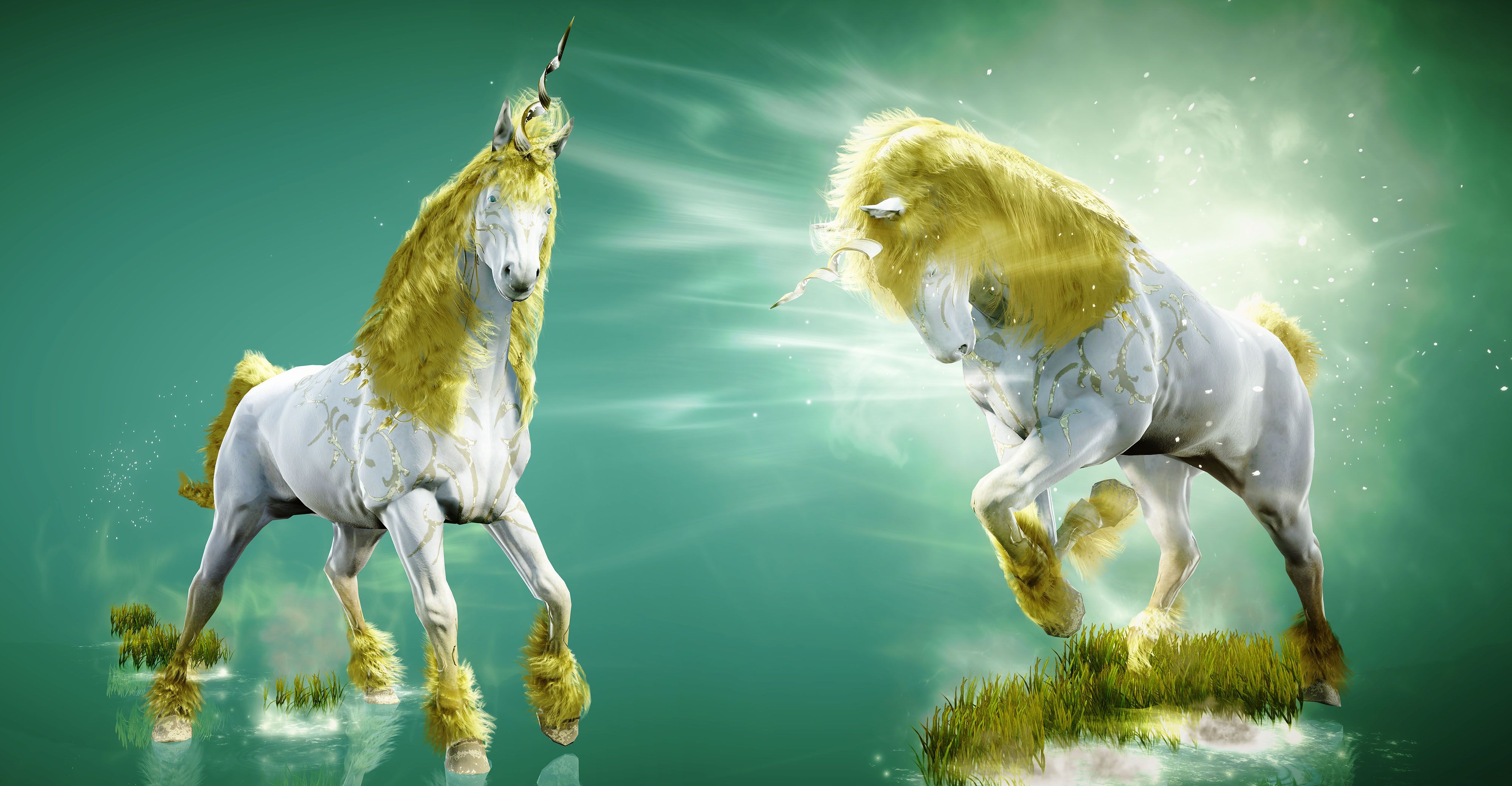 Black Desert Online's New Class, Mount, Areas and Graphics Get ...