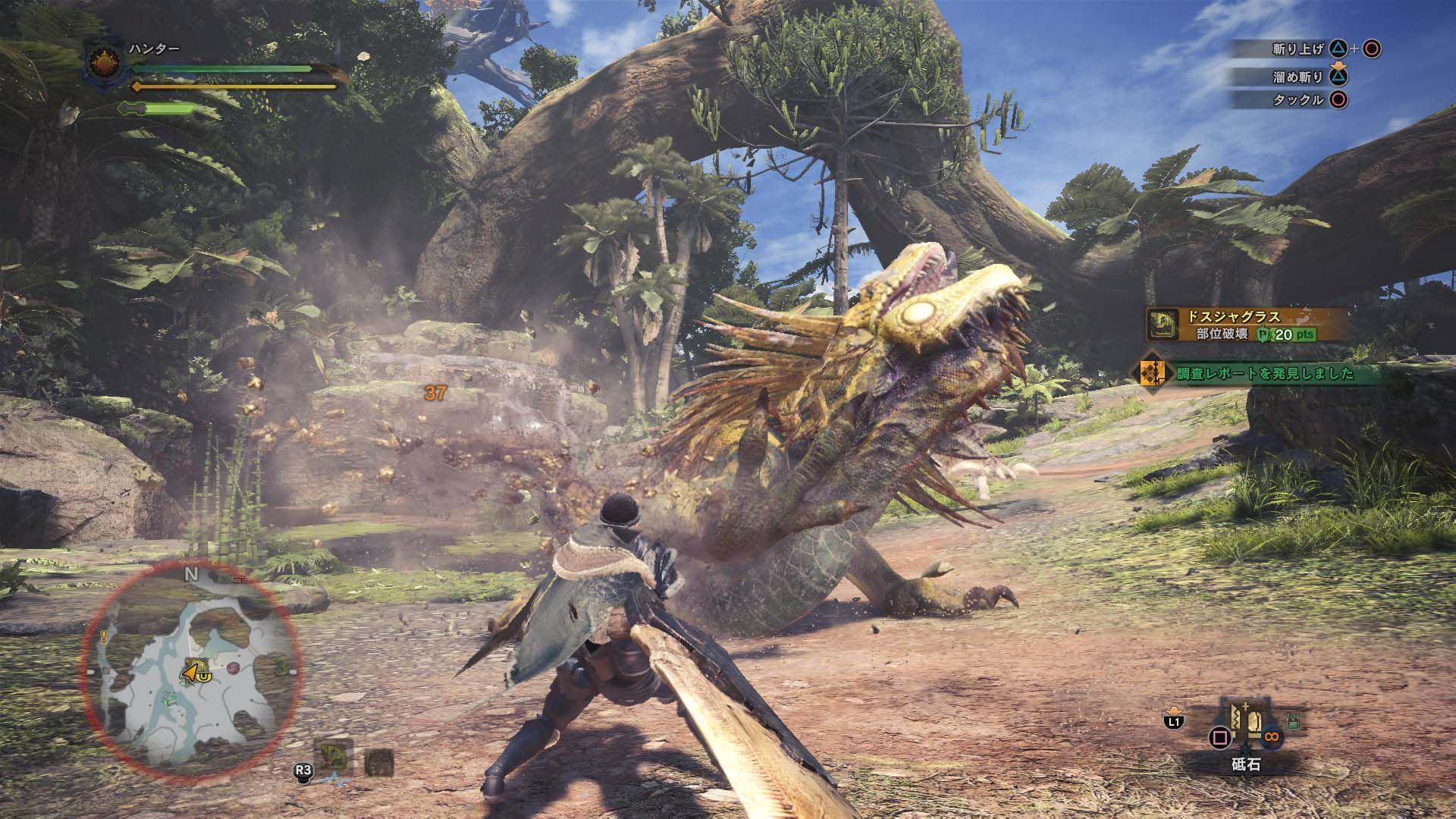 Monster Hunter World Gets 1080p Screenshots Showing NPCs, Special ...