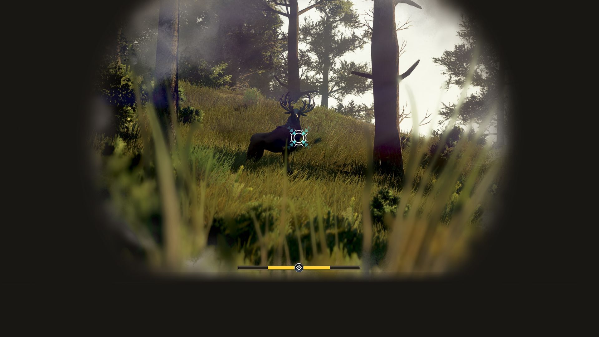 Black Desert Online Reveals Gorgeous "Remastered" Graphics; Male Ranger ...