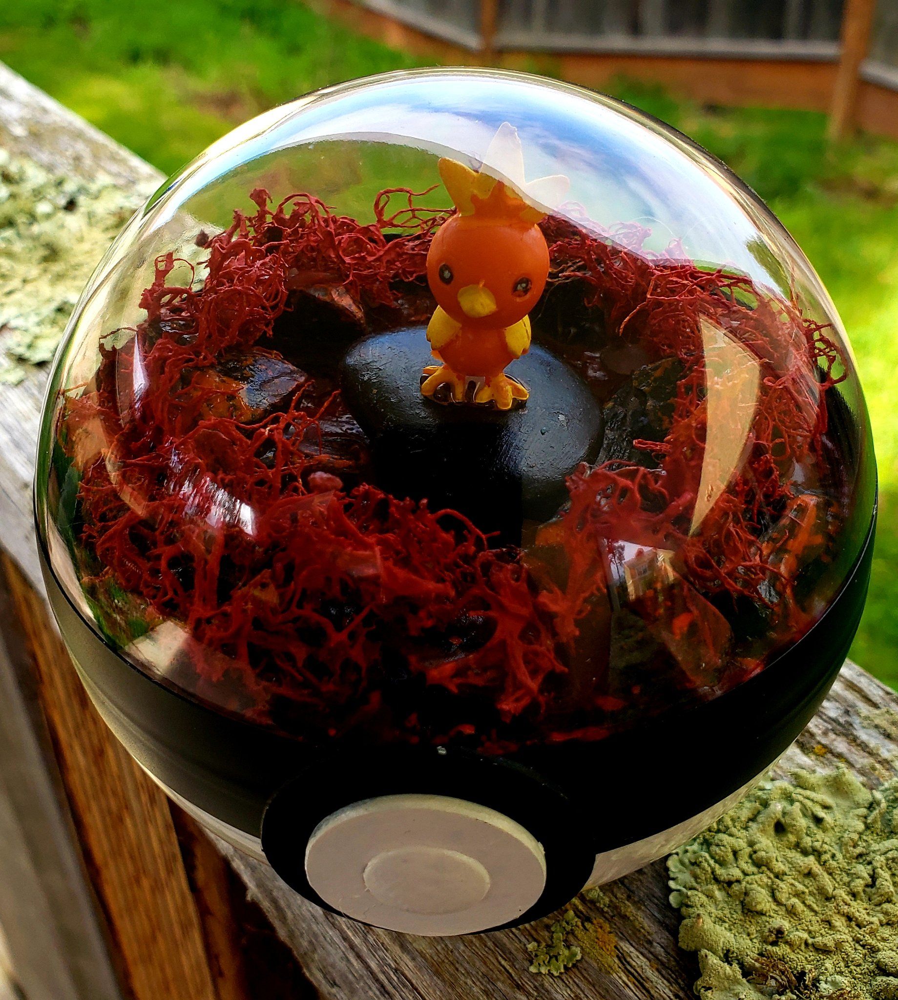 Pokemon Hand-Crafted Terrarium Shows What It's Like Inside a Pokeball