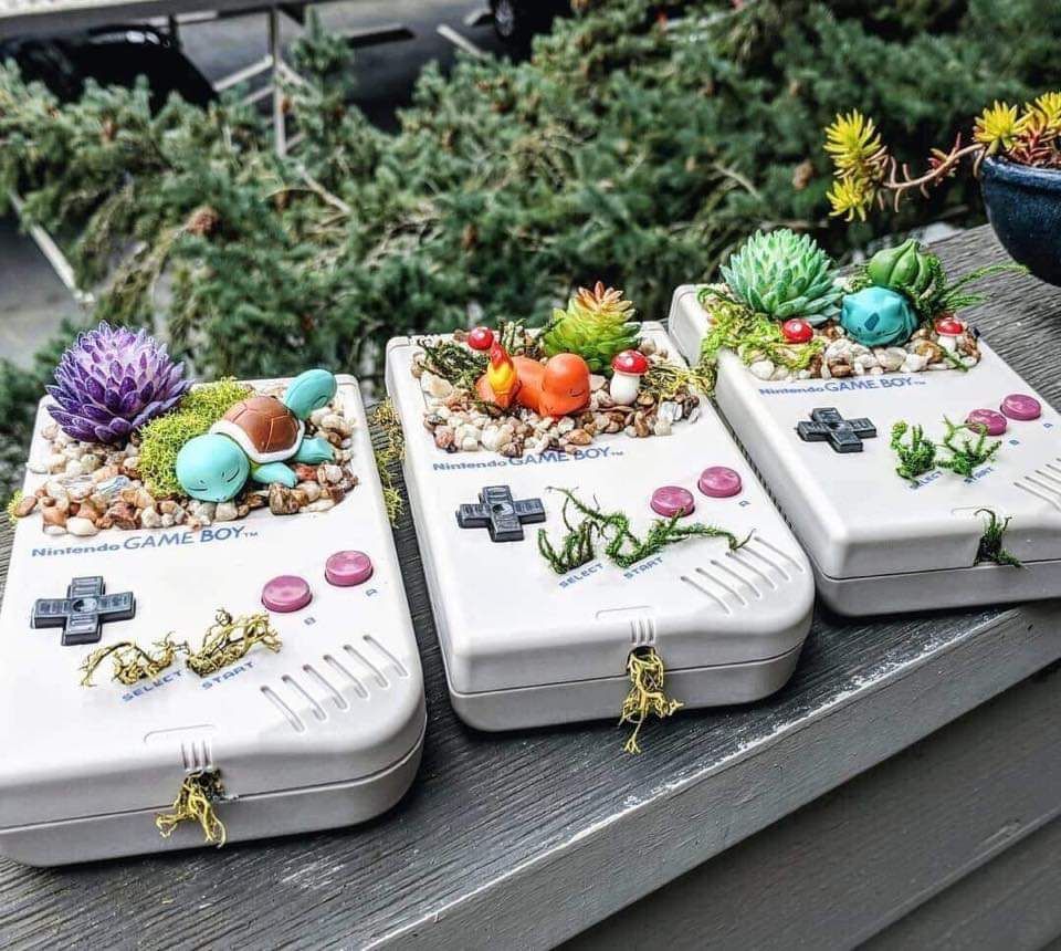 Pokemon Planters Made From Vintage Game Boy Consoles Takes Creativity ...