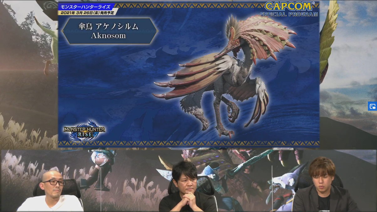 Monster Hunter Rise, Stories 2: New Details Revealed At TGS 2020