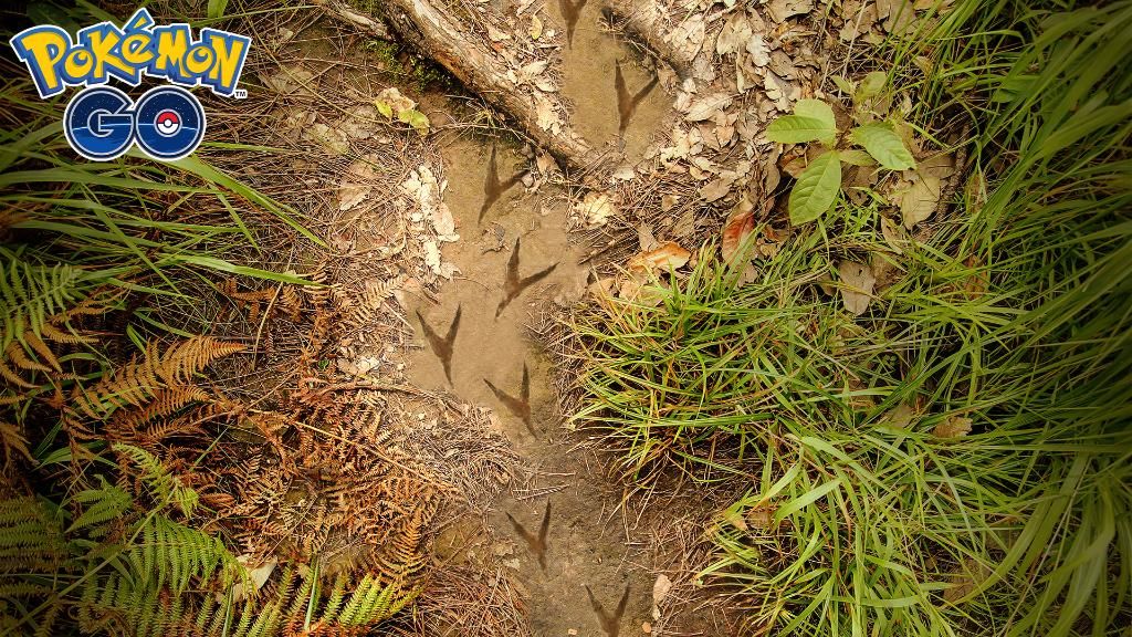 Shiny Fletchling Teased for Pokemon GO March Community Day 2021 - What ...