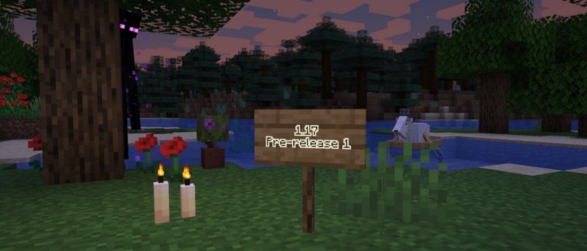 Minecraft 1.17 Pre-Release 1 - Patch Notes (Today, May 27)