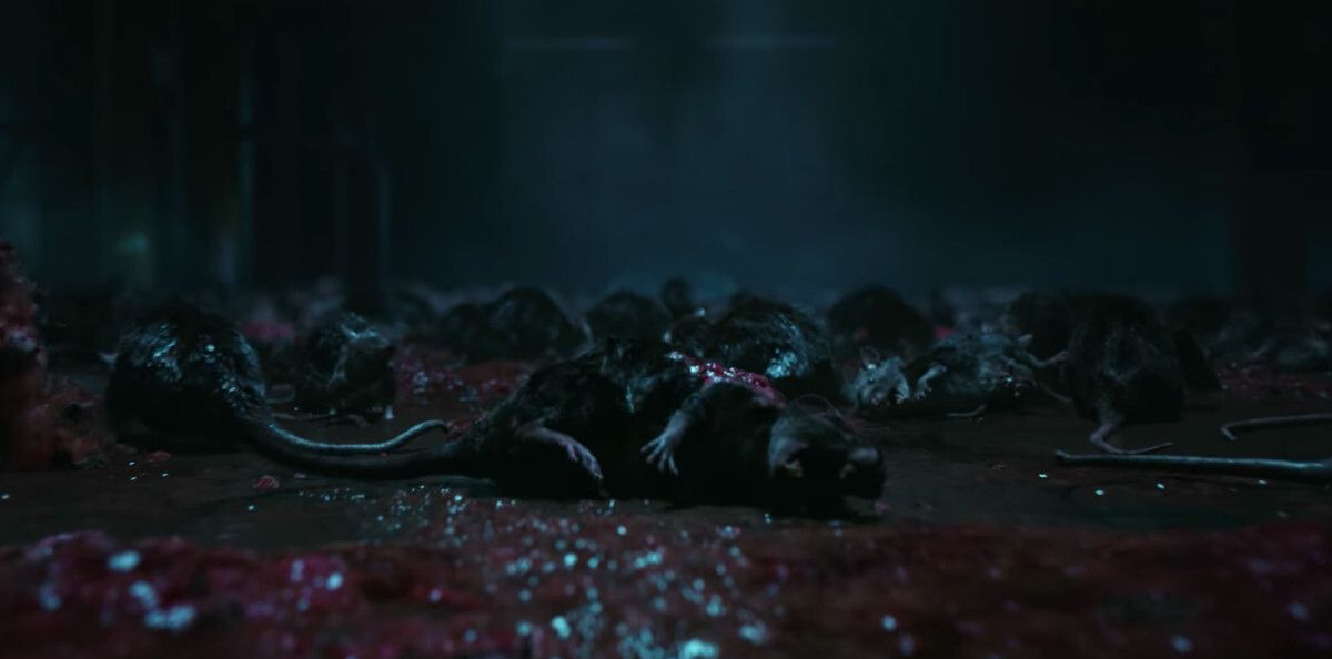 Stranger Things Season 3 Recap - Everything You Should Know Before Watching Season 4