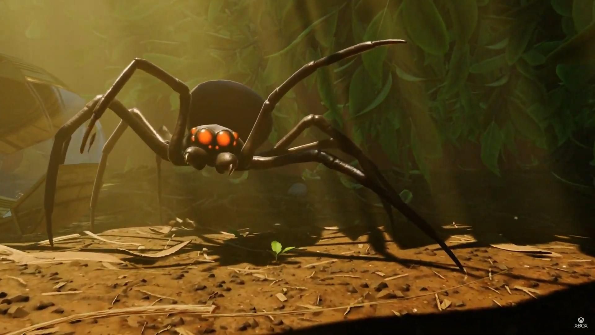 Grounded Full Version Will Be Out This Summer, Featuring Full Campaign