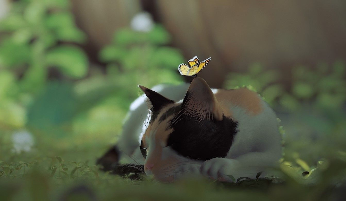 Stray Fans Are Modding Their Own Beloved Cats Into The Game