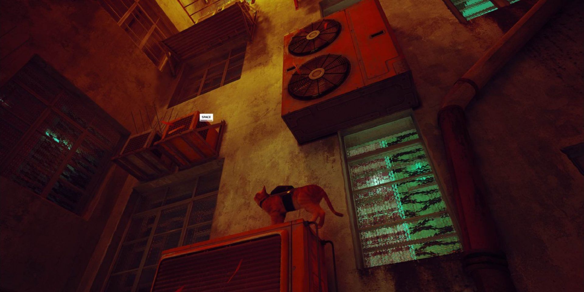 10 Things You Never Knew About The Making Of Stray