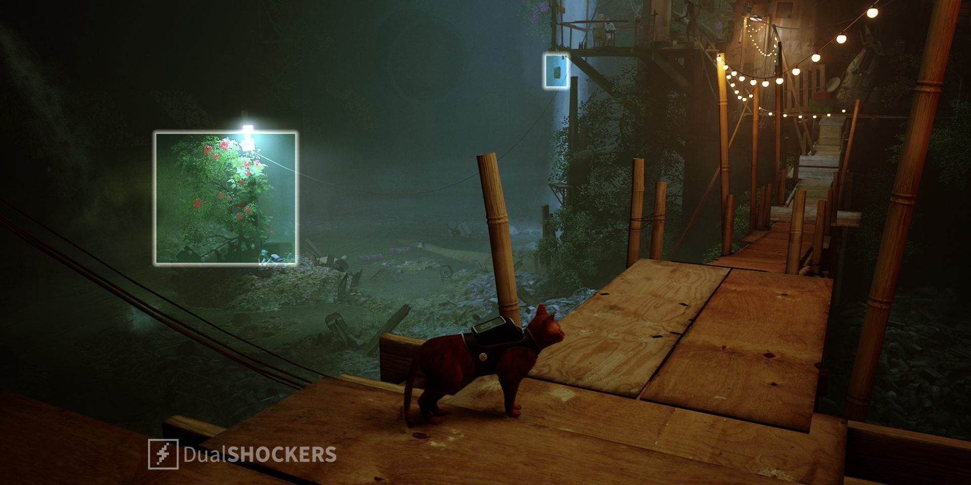 Stray: Where To Find Red Plant, Purple Plant, Yellow Plant