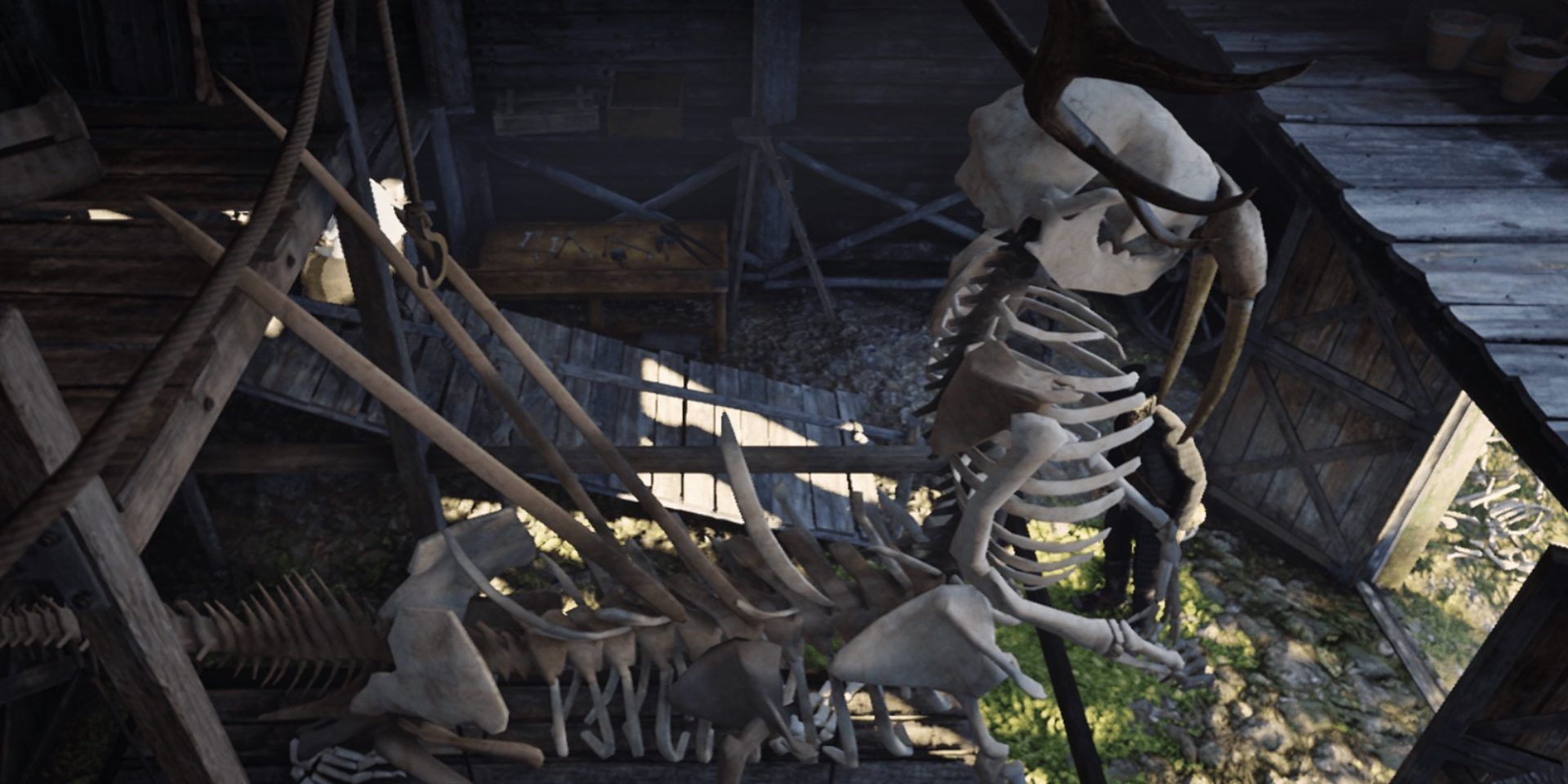 Red Dead Redemption 2: Dinosaur Bone Locations