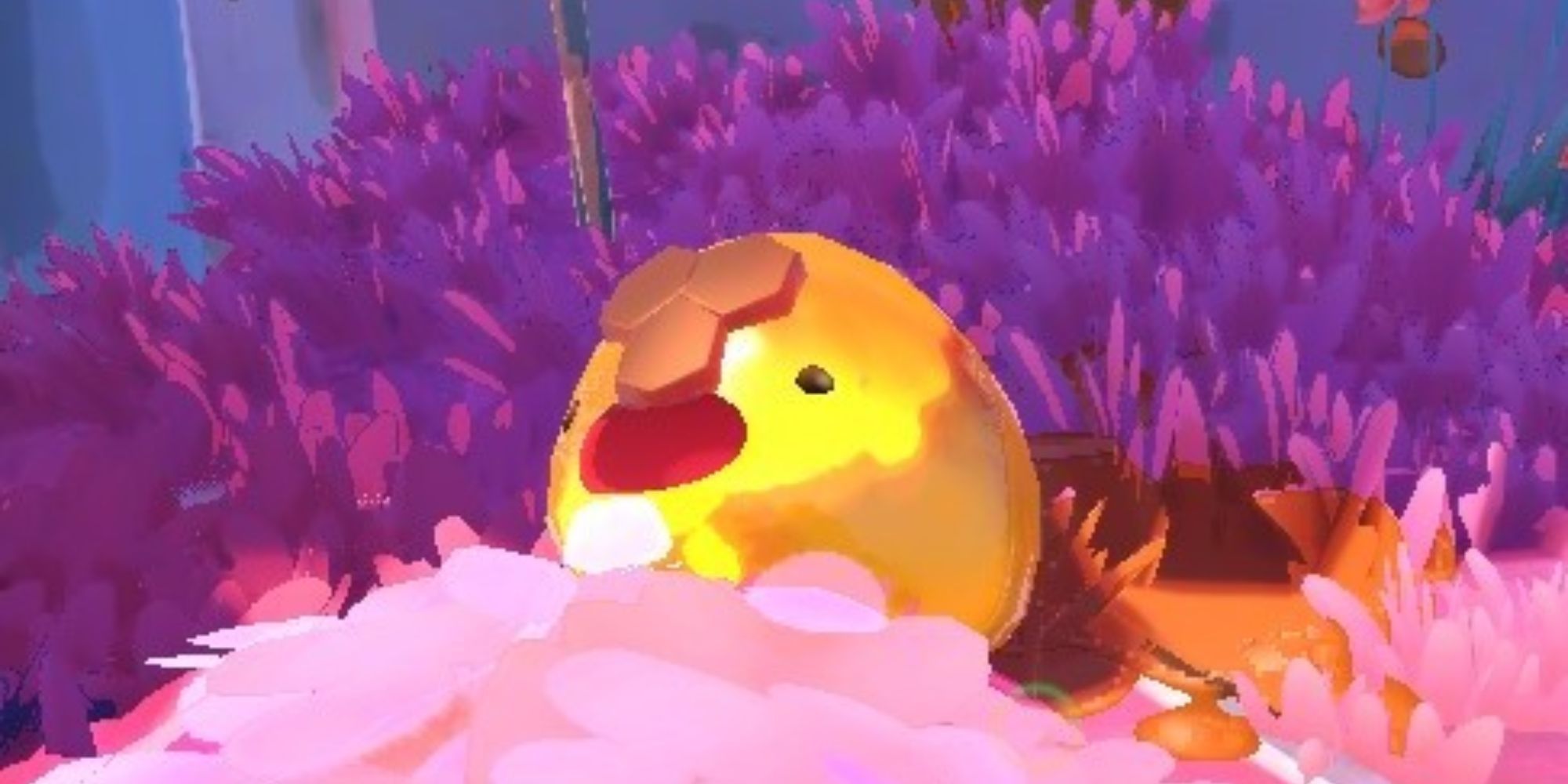 Slime Rancher 2: Basic Slimes Guide