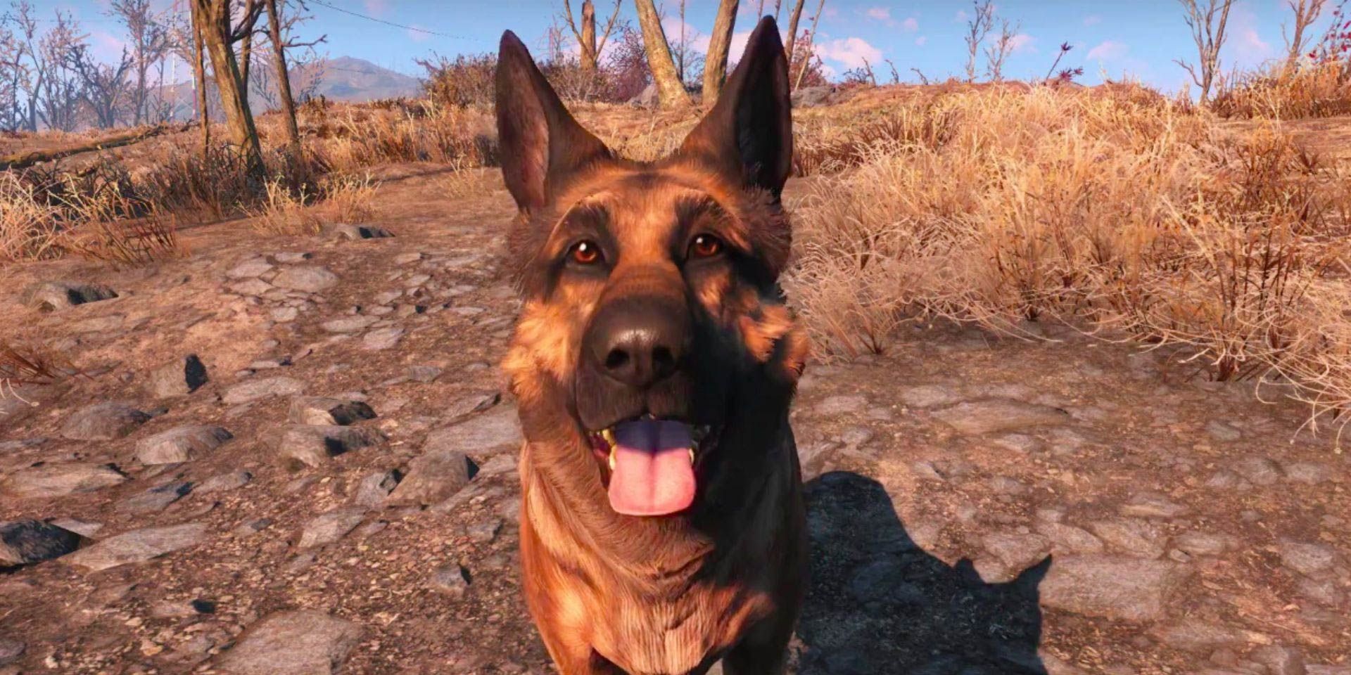 Fallout 4: Every Companion, Ranked
