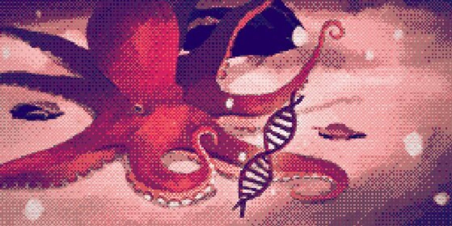 Splatoon: What Happened To The Humans?