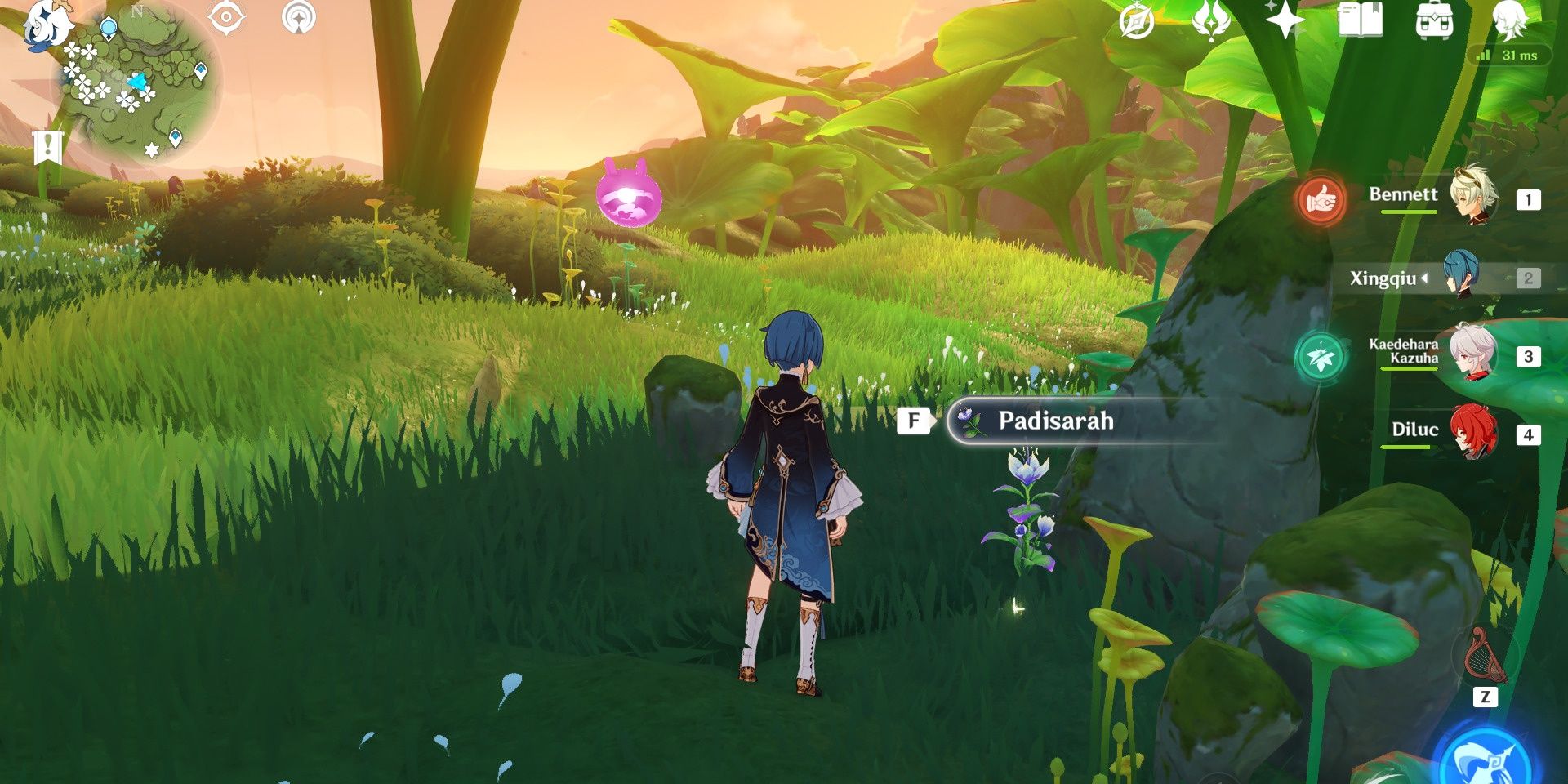 Genshin Impact: How To Farm Padisarah & All Locations