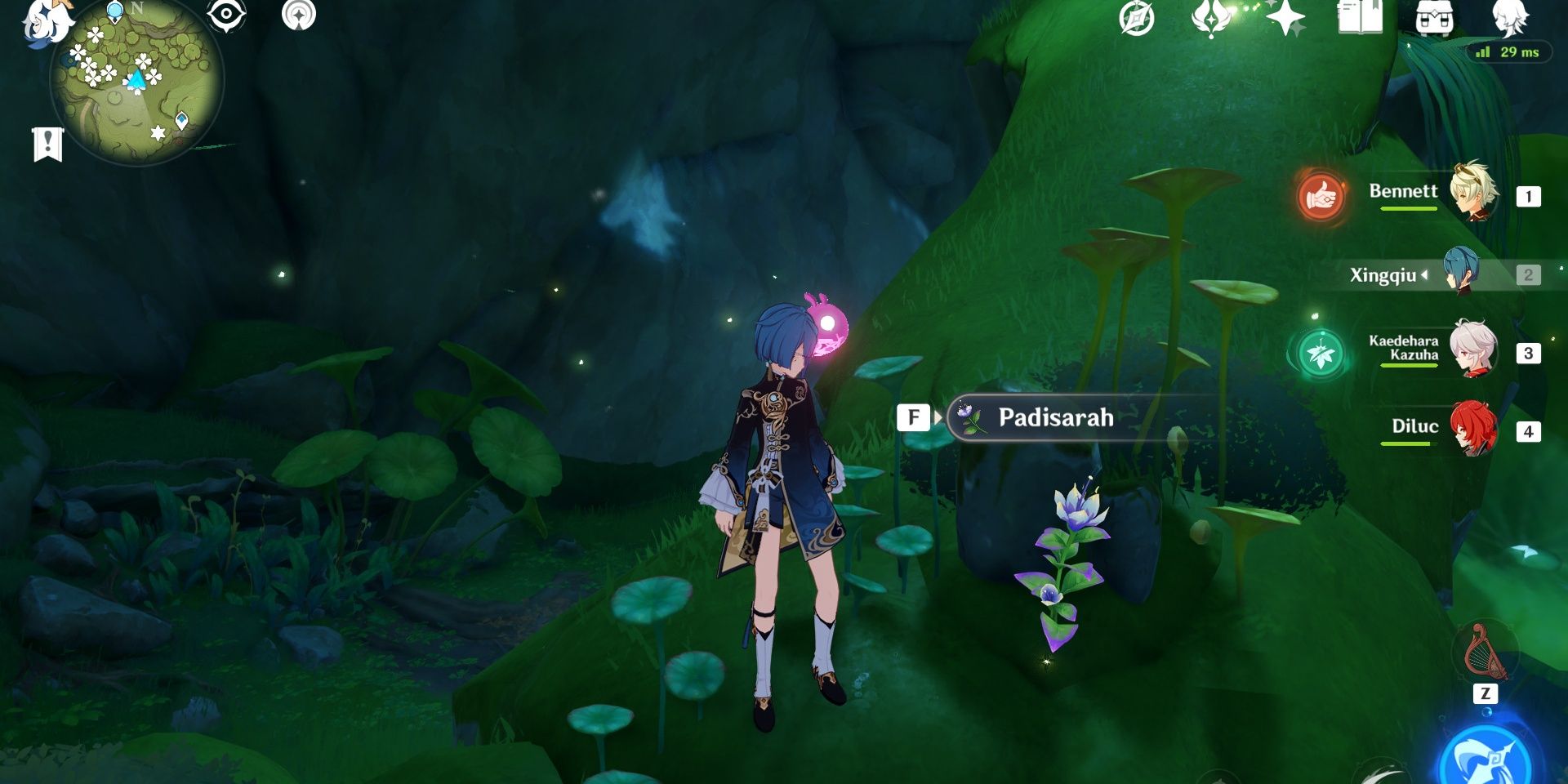 Genshin Impact: How To Farm Padisarah & All Locations