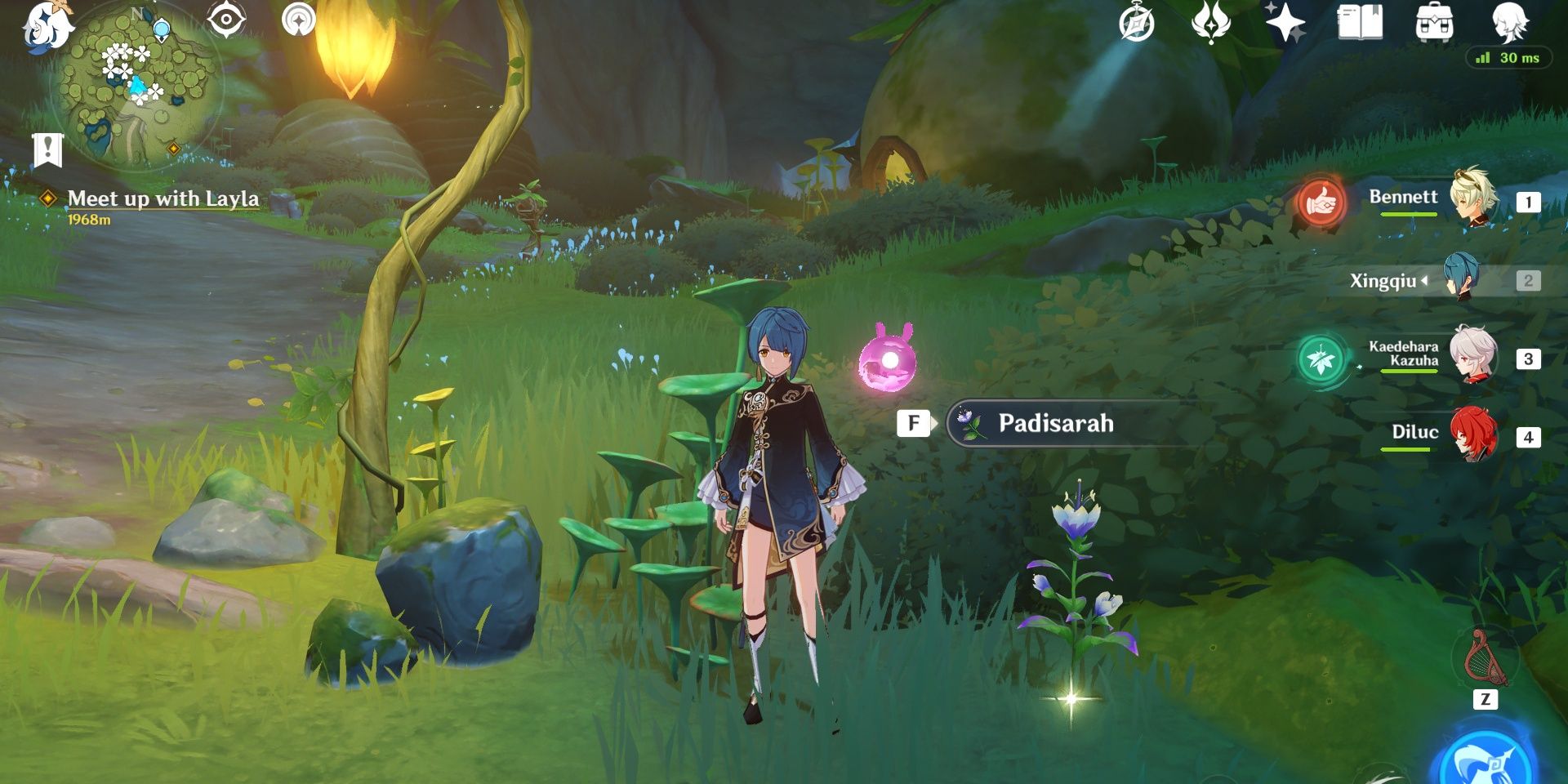 Genshin Impact: How To Farm Padisarah & All Locations