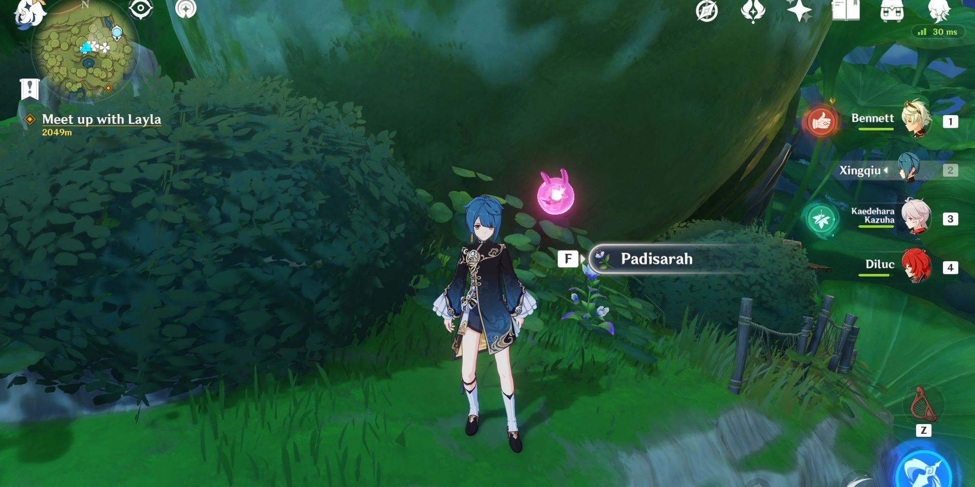 Genshin Impact: How To Farm Padisarah & All Locations