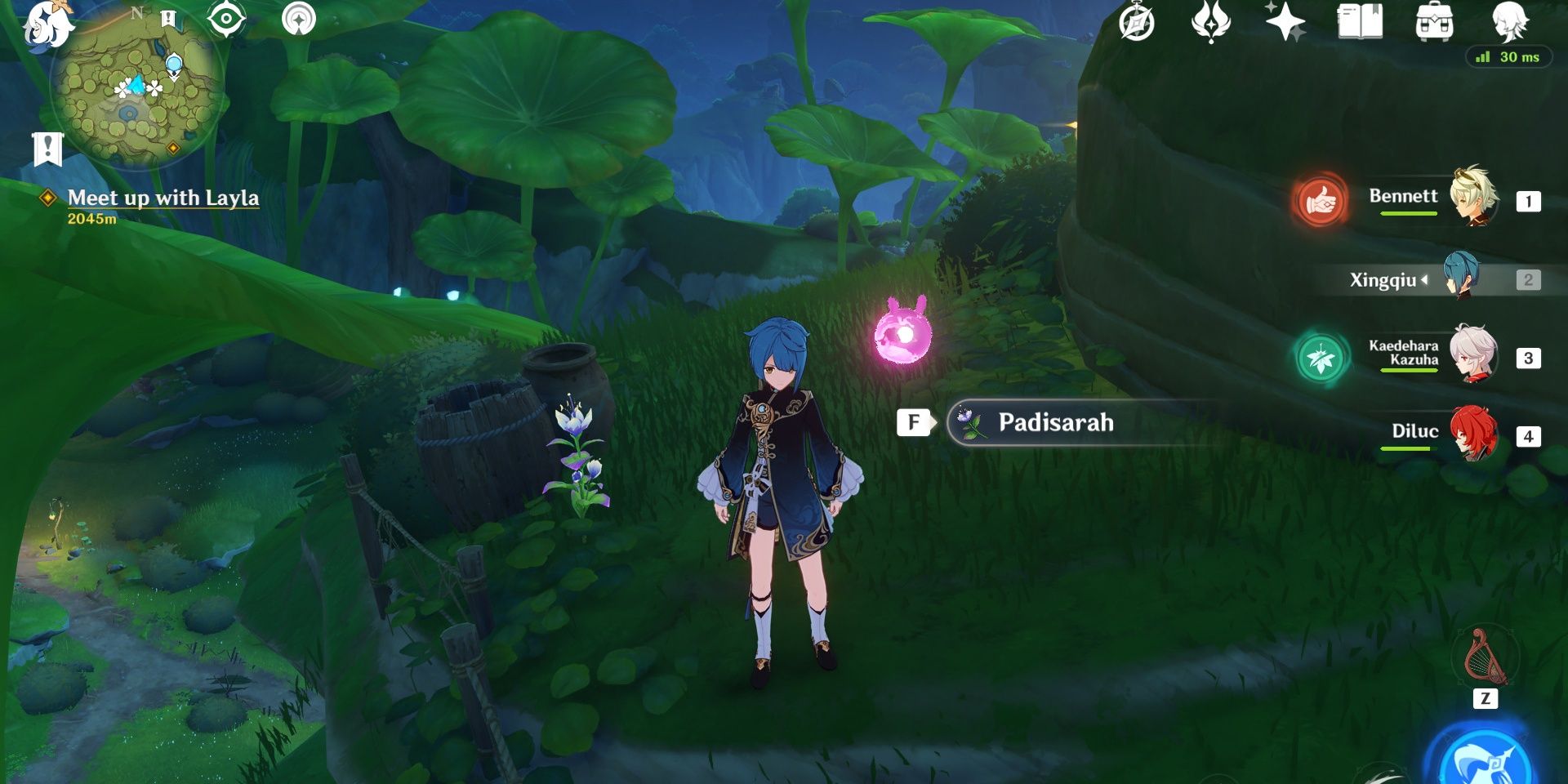 Genshin Impact: How To Farm Padisarah & All Locations