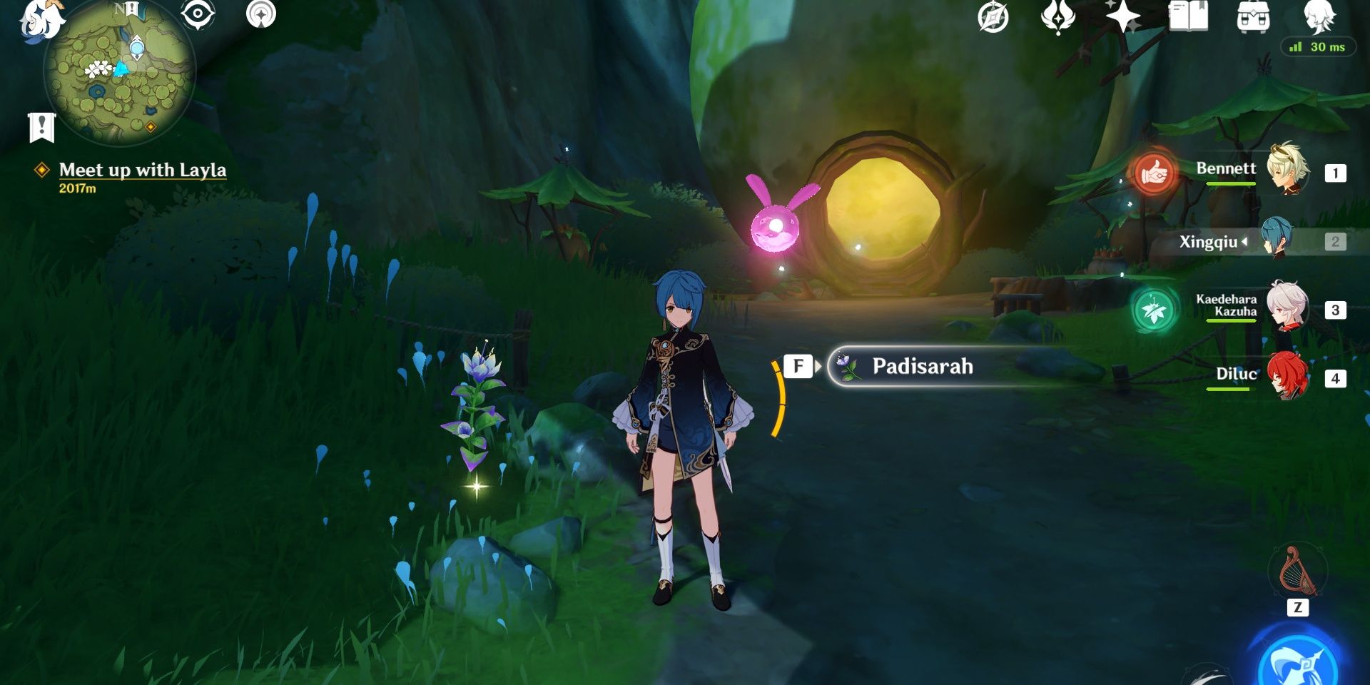 Genshin Impact: How To Farm Padisarah & All Locations