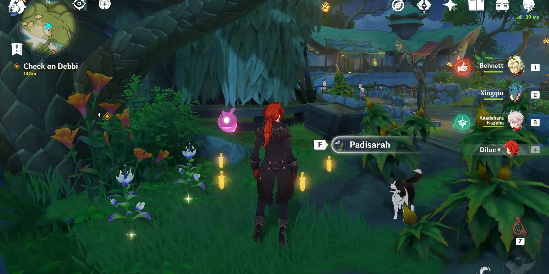 Genshin Impact: How To Farm Padisarah & All Locations