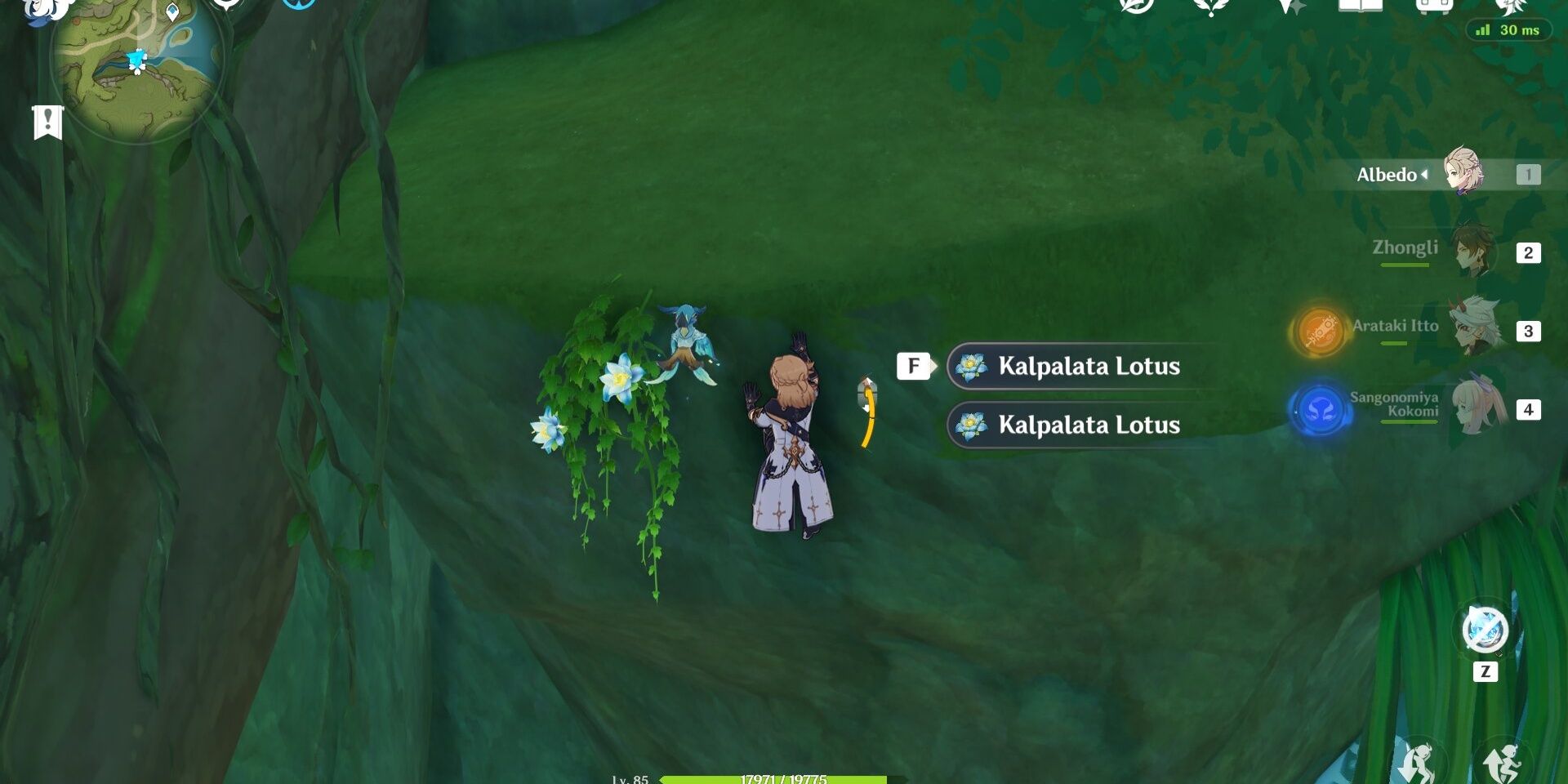 Genshin Impact: How To Farm Kalpalata Lotus & All Locations