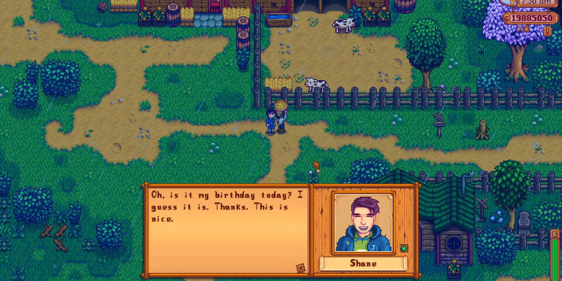 Stardew Valley: How To Romance & Marry Shane