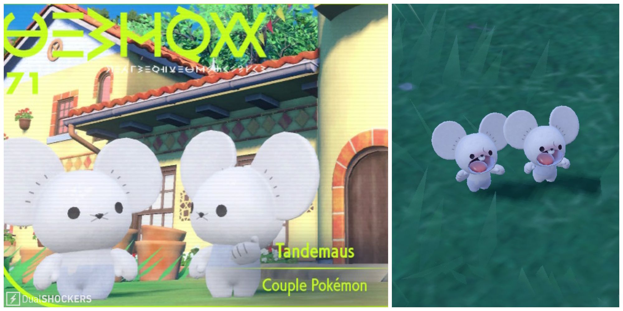 Pokemon Scarlet & Violet: How To Get Tandemaus