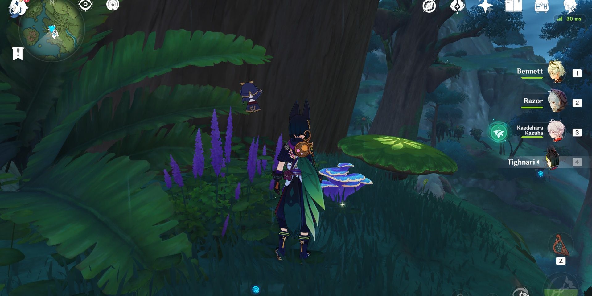 Genshin Impact: How To Farm Rukkhashava Mushrooms & All Locations