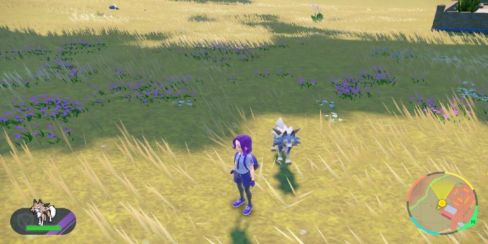 Shiny Hunting Isolated Encounter Method Guide How To Pokemon Scarlet And Violet