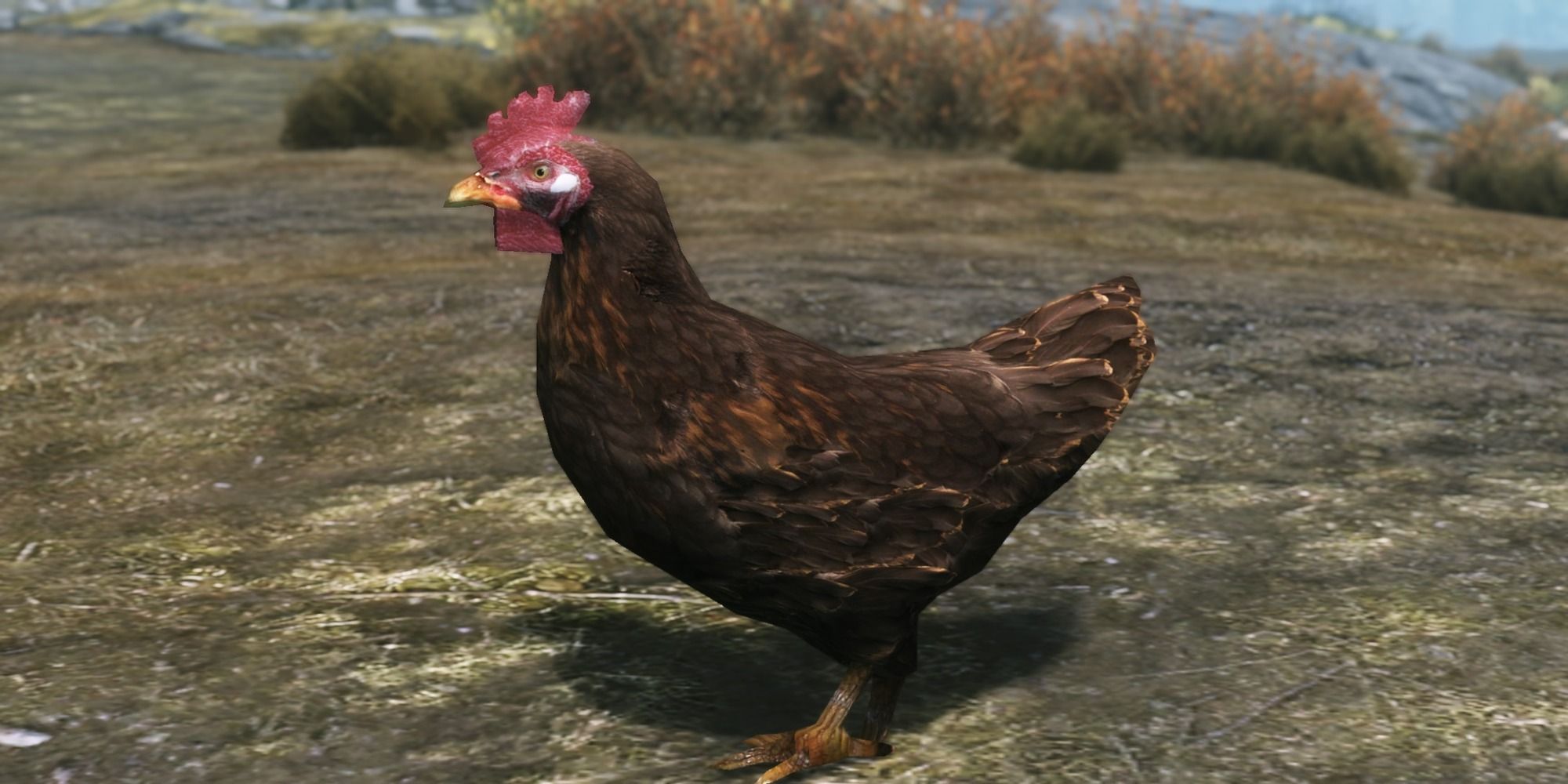 Skyrim: The Weirdest Unobtainable Items