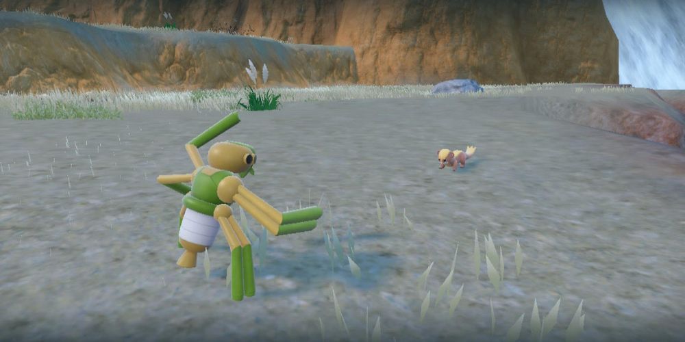 Pokemon Scarlet & Violet: How To EV Train Pokemon