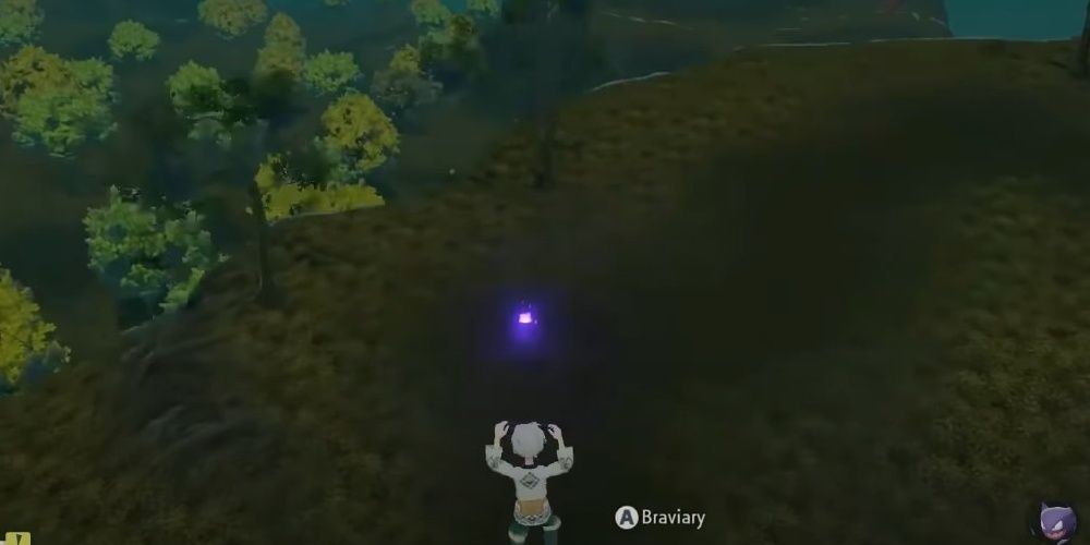 Pokemon Legends Arceus: All Crimson Mirelands Wisp Locations