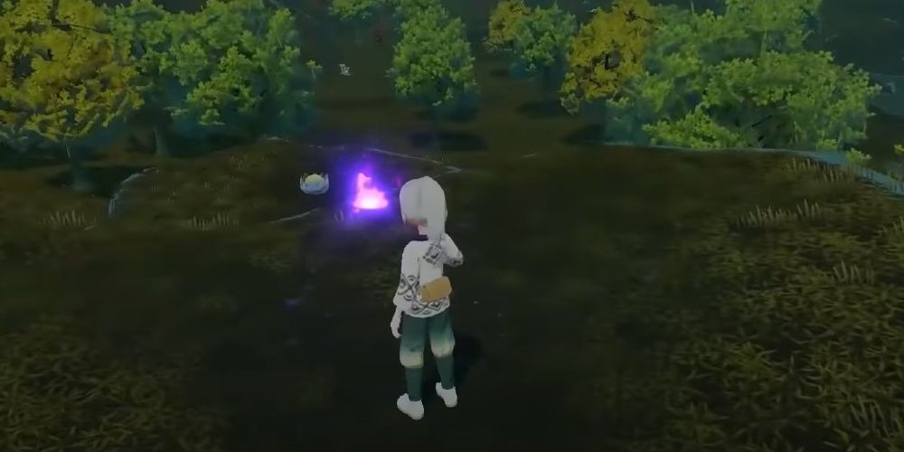 Pokemon Legends Arceus: All Crimson Mirelands Wisp Locations