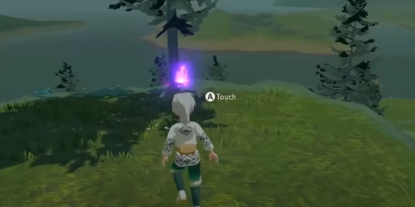 Pokemon Legends Arceus: All Obsidian Fieldlands Wisp Locations