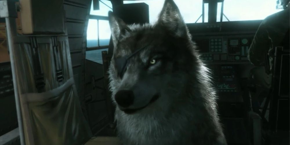 Best Video Game Dogs, Ranked