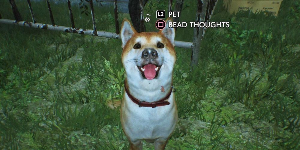 Best Video Game Dogs, Ranked