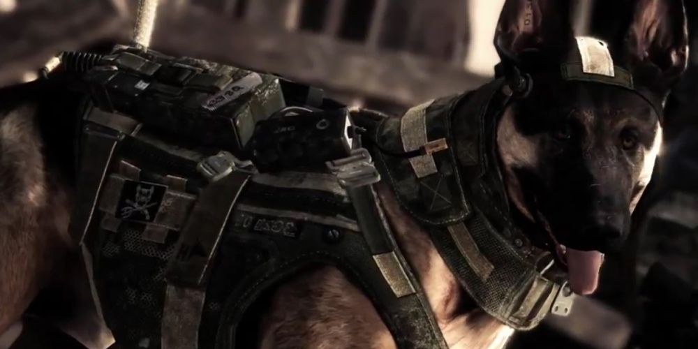 Best Video Game Dogs, Ranked