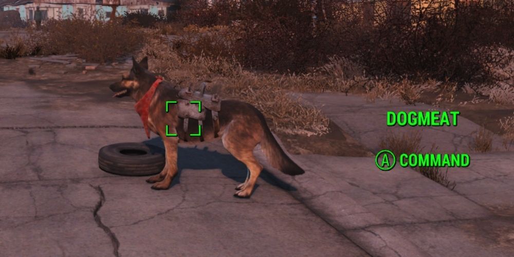 Best Video Game Dogs, Ranked
