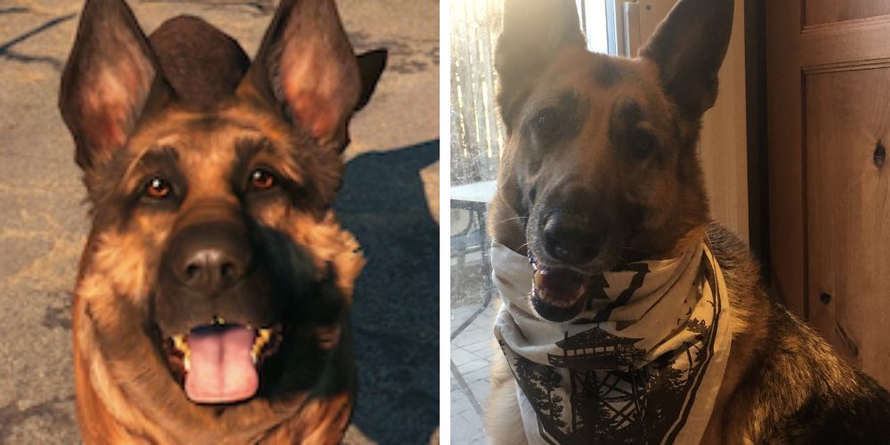 Fallout 4: How To Use Dogmeat To His Full Potential