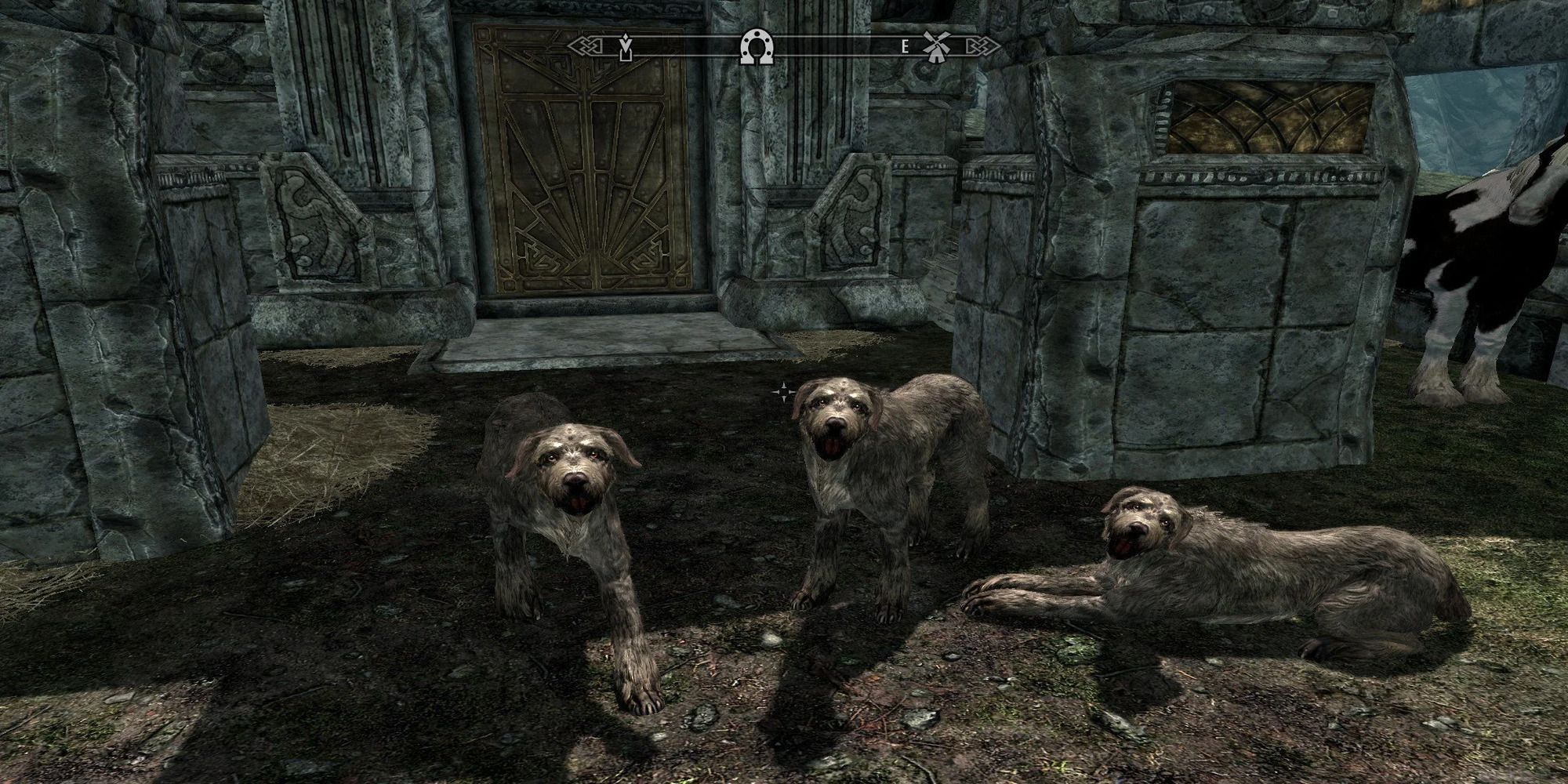 Skyrim: Best Followers In The Game & Where To Find Them