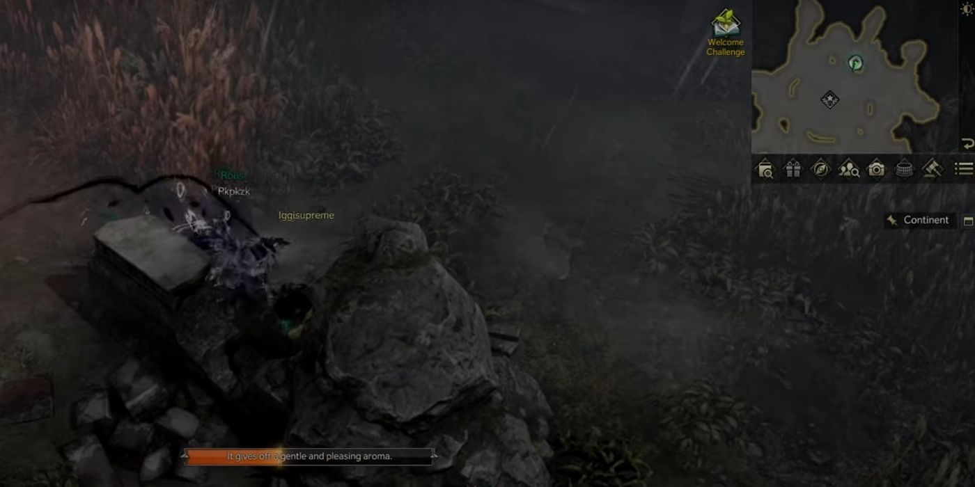 Lost Ark: Asura Island Mokoko Seed Locations